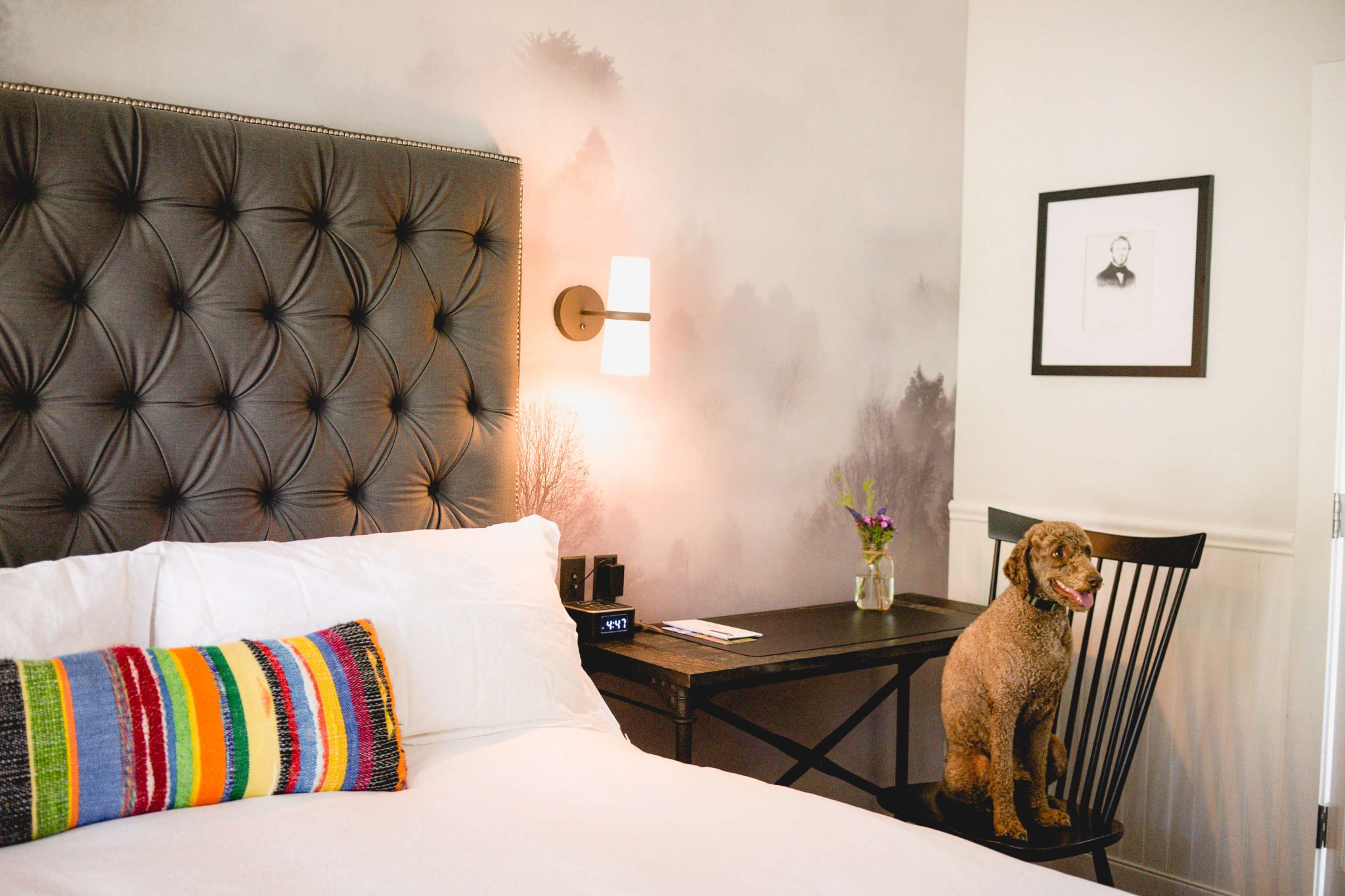 Brannan Hotels | Gallery | Visit Calistoga | Explore Napa